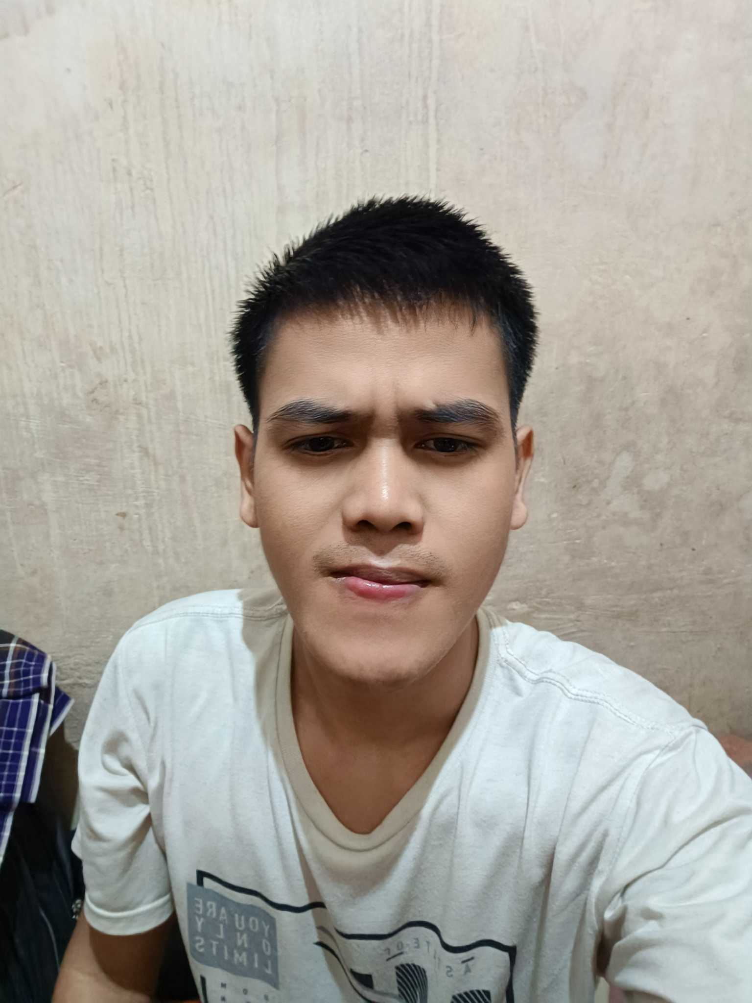 a1.art - 在线AI图片生成器，海量滤镜任你选